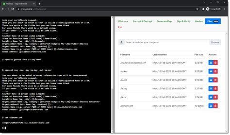 how to make your own cert with web openssl didier stevens