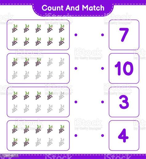 계산 및 일치 엘더 베리의 수를 계산하고 오른쪽 숫자와 일치합니다 교육 어린이 게임 인쇄 워크 시트 벡터 일러스트레이션 0명에 대한 스톡 벡터 아트 및 기타 이미지 Istock