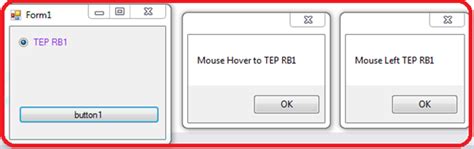 C RadioButton Control The Engineering Projects