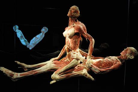 Gunther Von Hagens New Sex Couple Editorial Stock Photo Stock Image Shutterstock