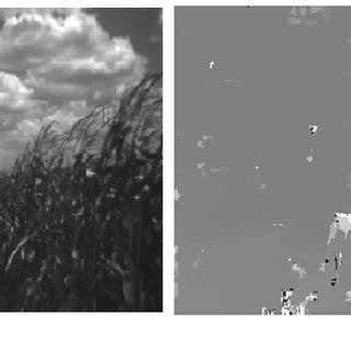 Density Grid Representation A Grid And B Density Range