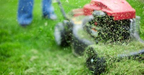 Scientists Discover Shortcut For Turning Grass Into Plane Fuel