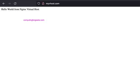 How To Install Nginx Web Server On Ubuntu 2404 Computingforgeeks