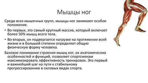 Комплекс упражнений для укрепления мышц ног презентация онлайн