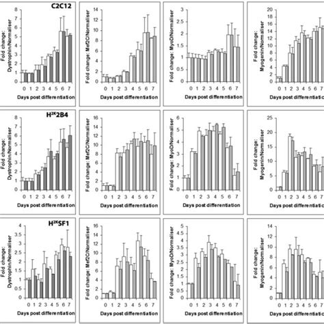 Relative Expression Levels Of Dystrophin Mef2c Myod And Myogenin