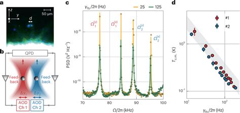 Simultaneous All Optical Cold Damping Of Two Particles A Image Of Two Download Scientific