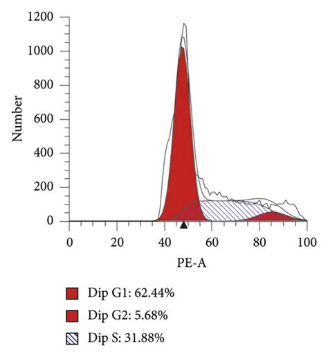 Curcumin Can Cause S Phase Cell Arrest In Ishikawa Cells After