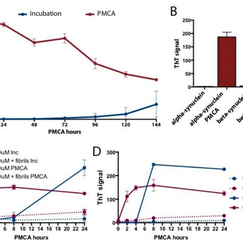 Alpha Synuclein Aggregation Cell Model A Diagram Representing The
