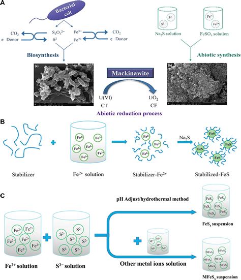 Frontiers Synthesis And Application Of Iron Sulfide−based Materials To Activate Persulfates