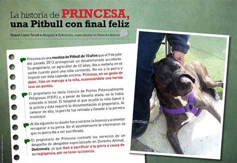 La Historia De Princesa Una Pitbull Con Final Feliz Deanimal