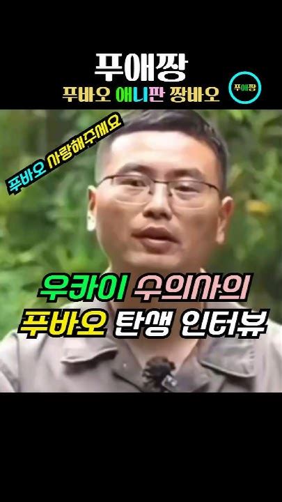 푸바오 탄생 우카이 사육사 인터뷰 소개 Youtube