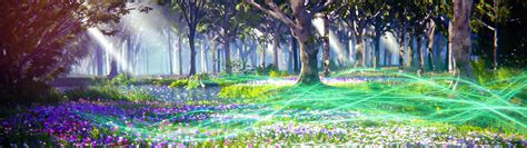 Sreliata Sreliata Vgen