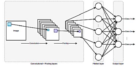 The Cnn Architecture Download Scientific Diagram