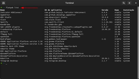 Como Utilizar Flatpaks Nas Distros Linux Em 2020 Diolinux