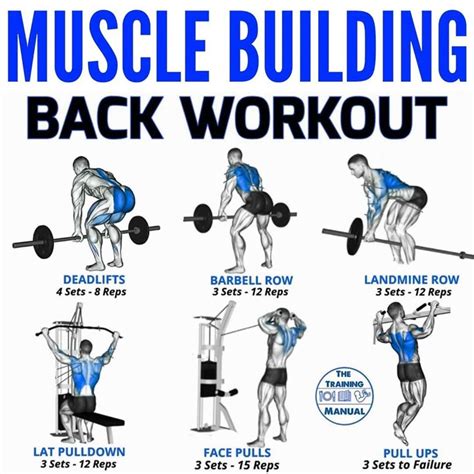 Back Workout To Add Major Muscle Quickly Rows For Back Workout
