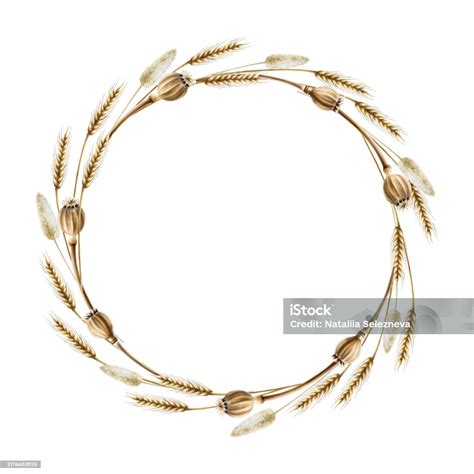 말린 양귀비 머리 밀의 이삭 식물과 화 환 수채화 손으로 그린 프레임 로고 상자 및 줄기 양귀비 그림이 배경에 고립되어 있습니다 디자이너 초대장 장식 엽서 포장지 등 건조