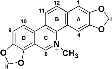 Molecular Structure Of Sanguinarine Download Scientific Diagram
