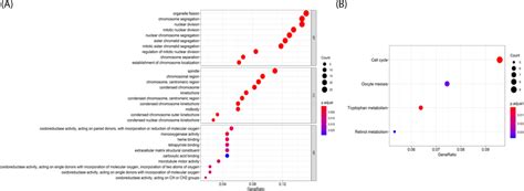 go and kegg enrichment analyses a b results of go and kegg