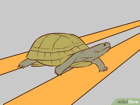 Ways To Predict The Weather Without A Forecast WikiHow