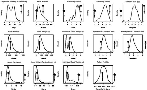 Trait Distributions In The F1 Hybrids The Symbol Indicates Where Download Scientific Diagram