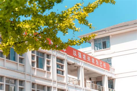 校园掠影 浙江农林大学