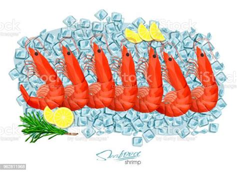 로즈마리 레몬 얼음 조각에 새우 벡터 Illustrationin 만화 스타일입니다 해산물 제품 디자인입니다 수 중 세계의 주민