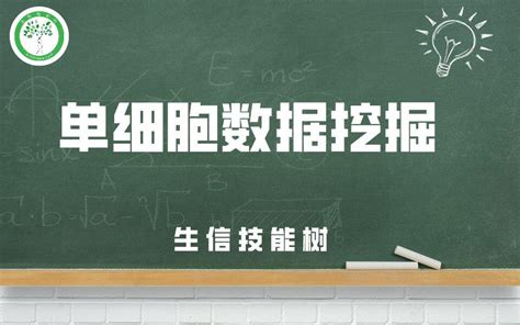 「生信技能树」单细胞数据挖掘 哔哩哔哩