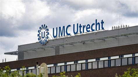 Hersenonderzoekers Umc Utrecht Doen Ontdekking Brein Ontwikkelt