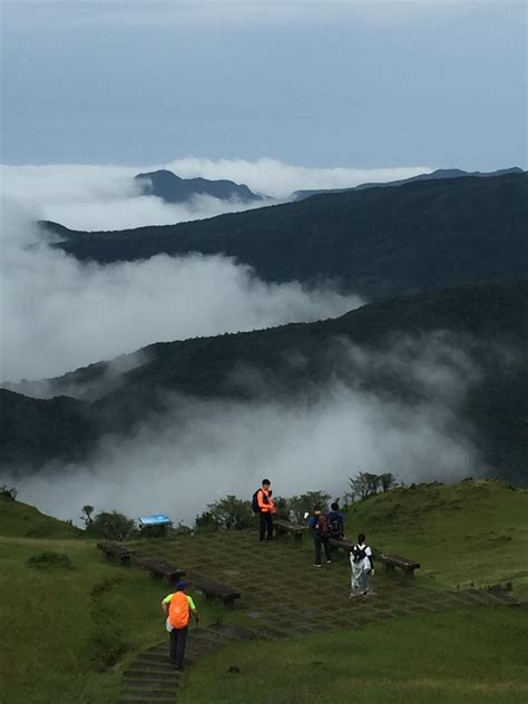 Ellen Ellenliao Twitter