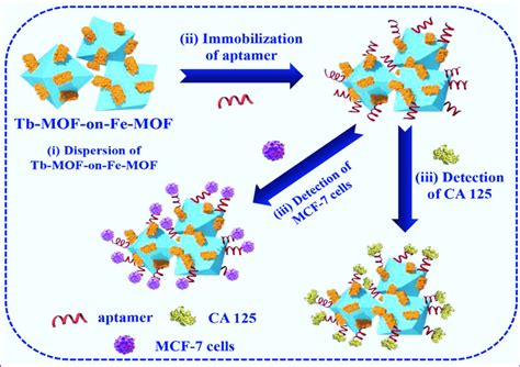 Electrochemical Aptasensor Based On The Engineered Core Shell Mof Nanostructures For The