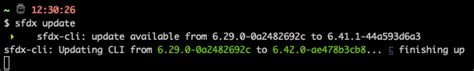 salesforcedx why does sfdx update take upwards of 30 minutes