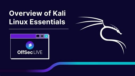 Offsec On Linkedin Kalilinux