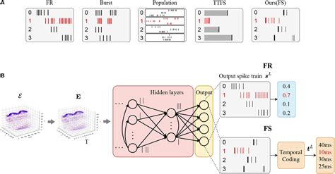 Frontiers First Spike Coding Promotes Accurate And Efficient Spiking