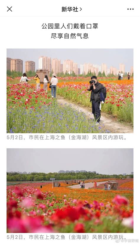 微博精选 On Twitter 这个色调构图取景真以为是在讲平壤 【网评】只用一个月，上海变平壤，是不是很🐮🍺 【网评】看出来了，宣传