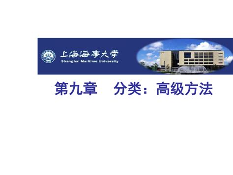 新版数据挖掘第9章 分类：高级方法 word文档在线阅读与下载 无忧文档