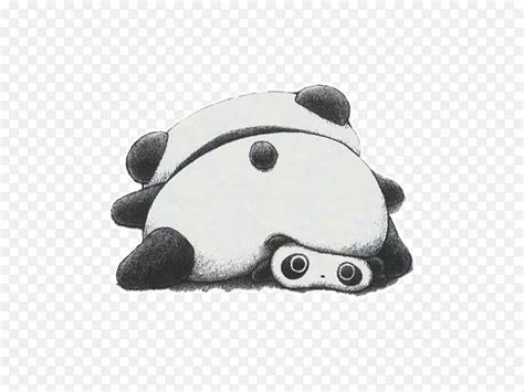 手绘黑白熊猫PNG图片素材下载 图片编号yanmvrrk 免抠素材网