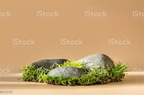 파스텔 배경에 돌과 이끼의 구성 유기농 화장품에 대한 추상적 인 연단 프리젠 테이션 및 전시회를위한 자연스러운 스탠드 최소한의