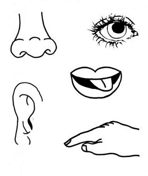 ระบายสี 📝📝📝📝📝📝 หน่วย สื่อเด็กปฐมวัยbyครูการ์ตูน