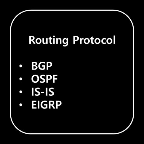 Bgp And Ospf Routing Protocol 넷트레인