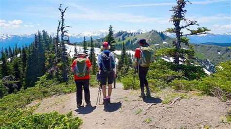 Hiking Washingtons Olympic National Park And Mt Rainier Intrepid 6