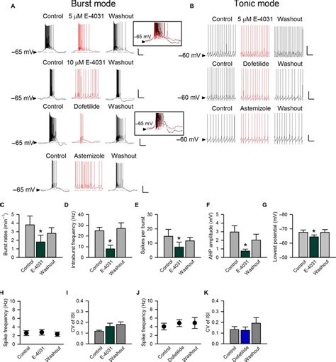 Whole Cell Patch Clamp Recording Of Spontaneous Neuronal Activity Download Scientific Diagram