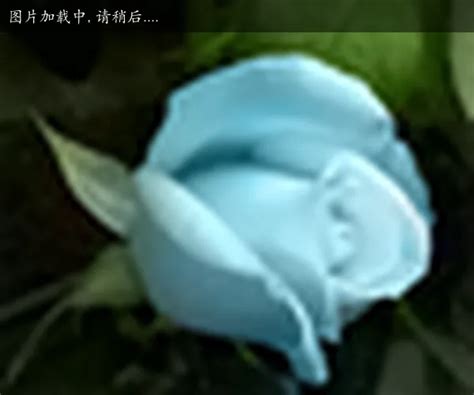 noteai 图像处理笔记 the fast bilateral solver 双边算子原理