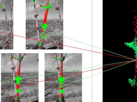 A Custom State Of The Art Object Detection Model Upwork