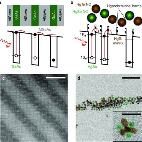 Principle Of Operation For A Random Colloidal Quantum Dot Infrared Download Scientific Diagram