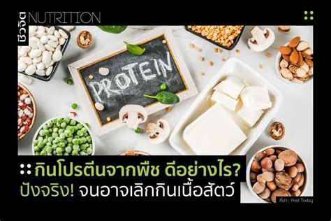โปรตีนที่ได้จากพืชนั้นมีคุณค่าทางโภชนาการสูง และนี่คือ เหตุผลทั้ง 8 ที่