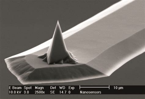 Nanosensors Afm Probes On Tv Blog Nanosensors™ Randd Leaders In Afm Probes Since 1990