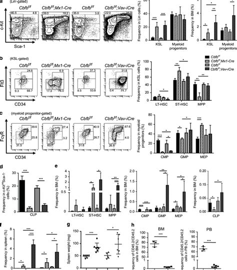 See Caption In Next Page Download Scientific Diagram
