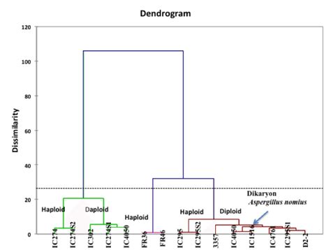 13 Agglomerative Hierarchical Clustering Ahc On The Carbon Source