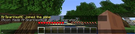 How To Add A Server Operator In Minecraft Minehost Io