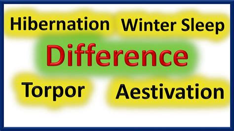 Difference Between Hibernate And Sleep Cutsand